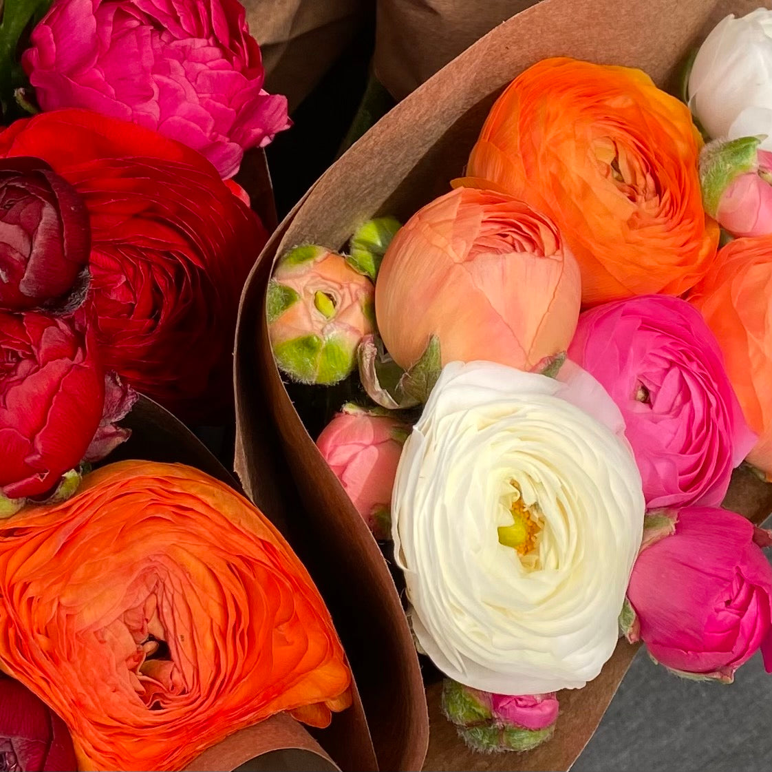 Fresh & Dried Cuts - By The Bunch – Twyla's Flower Farm and Floristry